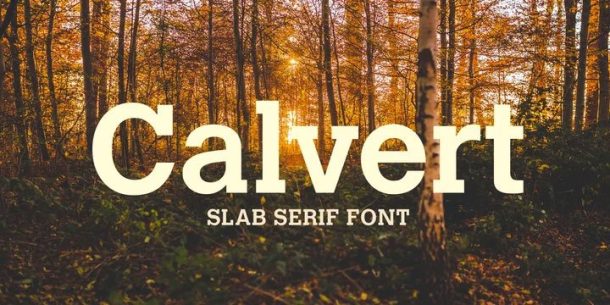 CalvertMTStd-Bold Font - Graphic Design Fonts
