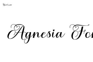 Agnesia Font - Free Font Download
