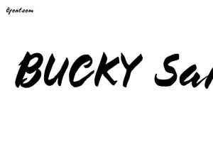 BUCKY Sans - Free Font Download