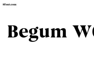 Begum W03 Bold - Free Font Download