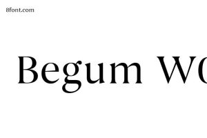Begum W03 Regular - Free Font Download