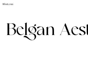 Belgan Aesthetic Regular Font - Free Font Download