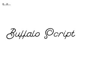 Buffalo Script Font Download - Graphic Design Fonts