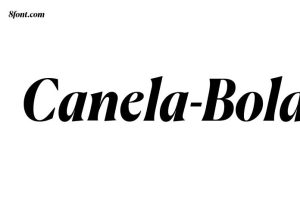 Canela-Regular - Graphic Design Fonts