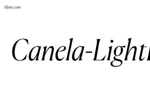 Canela-Light - Graphic Design Fonts