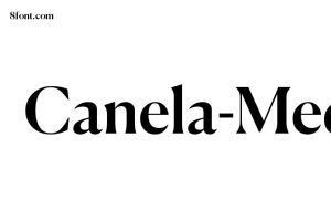 Canela-Medium - Free Font Download