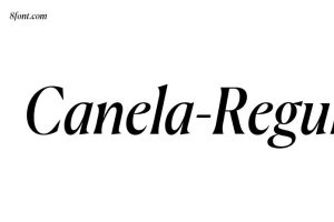Canela-Regular - Graphic Design Fonts