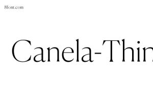 Canela-Thin - Free Font Download