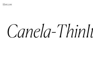Canela-ThinItalic - Free Font Download