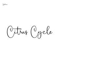 Citrus Cycle - Free Font Download