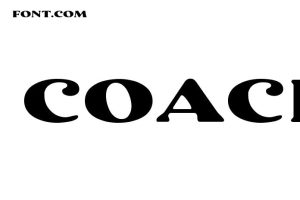 Coachella DEMO - Free Font Download