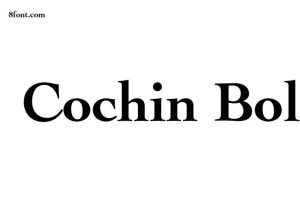 Cochin Bold - Free Font Download