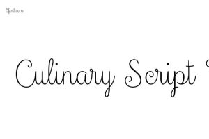 Kestrel W00 Script - Graphic Design Fonts