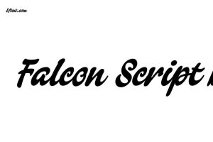 Falcon Script bold - Free Font Download