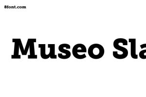 Museo Slab W00 900 - Free Font Download