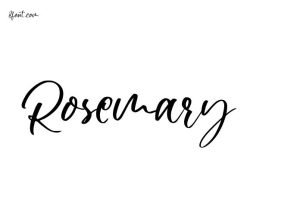 Rosemary - Free Font Download