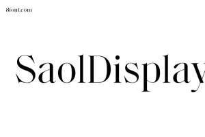SaolDisplay-Regular - Free Font Download