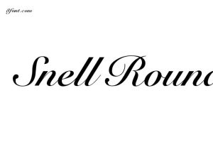 Snell Round hand font Font - Graphic Design Fonts