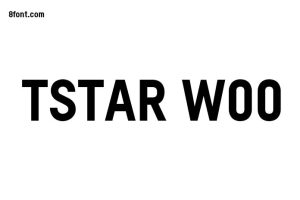 TSTAR W00 Heavy Font - Free Font Download