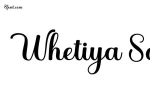 Whetiya Script - Free Font Download