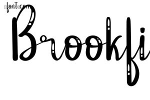 Brookfield Demo Font - Free Font Download