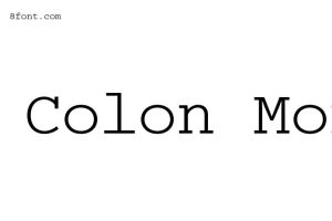 Colon Mono W01 Light Font - Free Font Download
