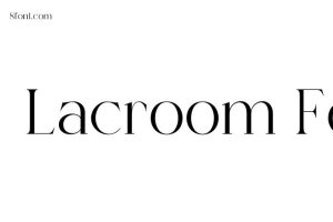 Room Bold Font - Graphic Design Fonts