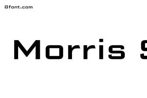 Morris Sans W01 Medium Font - Free Font Download