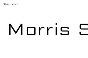 Morris Sans W04 Light Font - Free Font Download