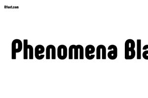Phenomena Black Font - Free Font Download