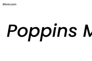 Poppins Light Font - Graphic Design Fonts