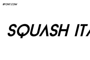 SQUASH Italic Font - Free Font Download
