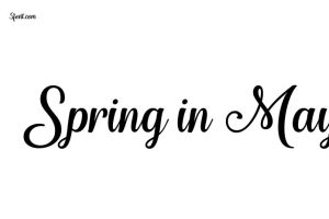 Daizen Font - Graphic Design Fonts