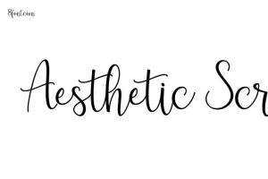 Aesthetic Script Regular Font - Free Font Download