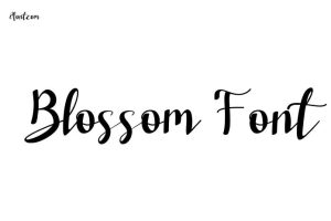 Blossom Font - Free Font Download