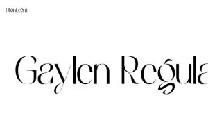 Colon Mono W01 Regular Font - Graphic Design Fonts