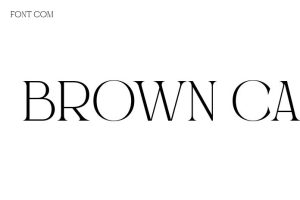 Brown Light - Graphic Design Fonts