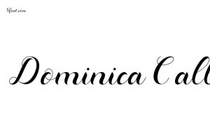 Dominica Calligraphy Font - Free Font Download