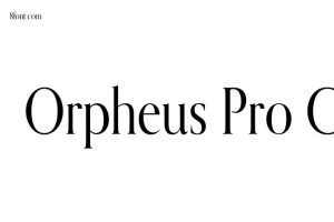 Orpheus Pro Medium Font - Graphic Design Fonts