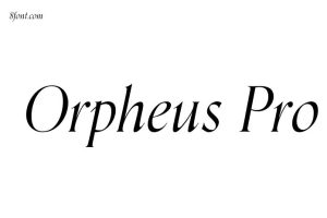 Orpheus Pro Medium Font - Graphic Design Fonts
