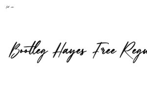 Bootleg Hayes Free Font - Free Font Download