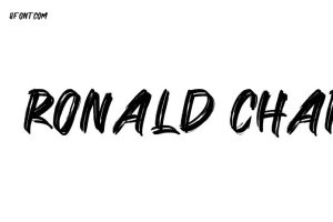 Daizen Font - Graphic Design Fonts