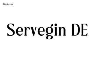 Servegin DEMO Font - Free Font Download
