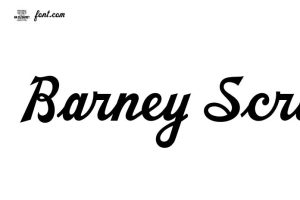 Barney Script PERSONAL USE Regular Font - Free Font Download
