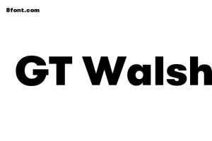 GT Walsheim Pro Black Font - Free Font Download