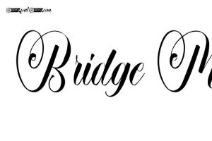 Bridge Martha Font - Free Font Download