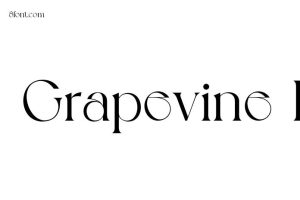 Grapevine Regular Font - Free Font Download