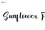 Sunflower Font - Free Font Download