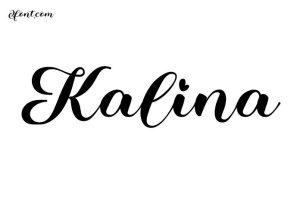 Kalina Font - Free Font Download