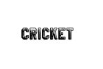 CRICKET Font - Free Font Download